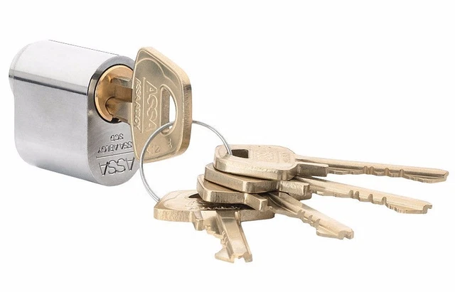 SCANDINAVIAN OVAL LOCK cylinder Assa Abloy 1301 5 keys 6 pin Dorma Ruko ...
