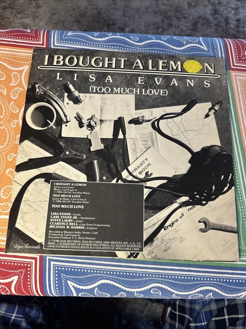 LISA EVANS: I Bought A Lemon DIJA 12" Single VG+/VG+ £15.25 - PicClick UK