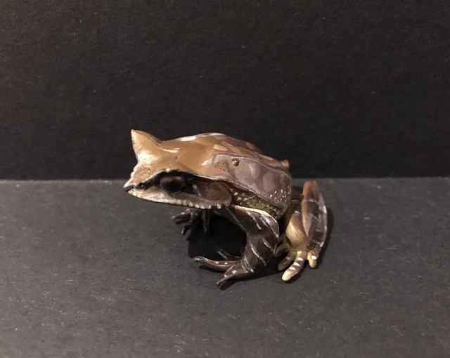 KAIYODO YUJIN JAPANESE Exclusive Malayan Long Nosed Leaf Horned Frog ...