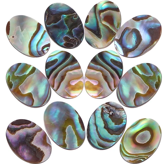 12 PCS CIRCLE Abalone Shells Jewelry Parts Assorted Charms for Making ...