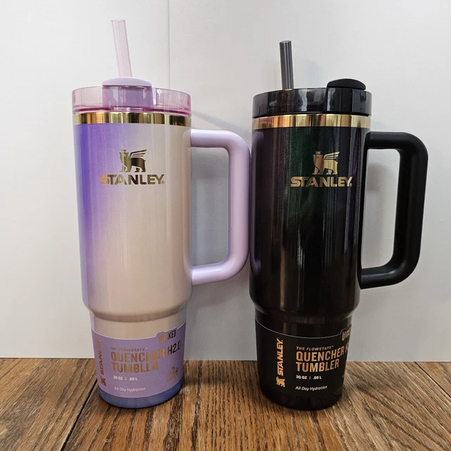 STANLEY X WICKED For Good 30oz FlowState Quencher Glinda Elphaba Set ...