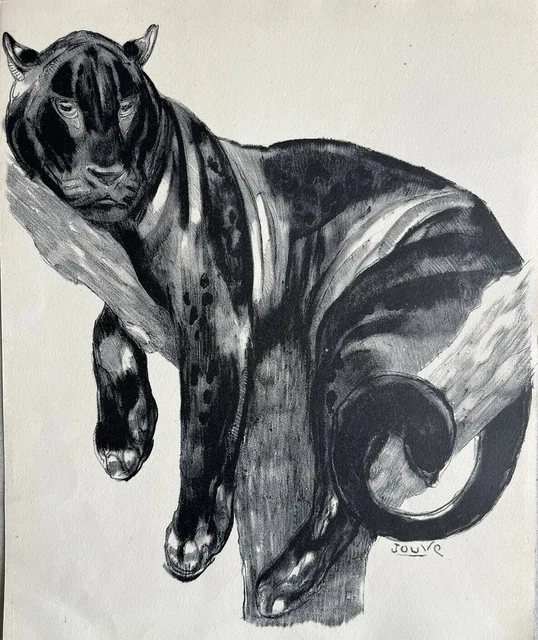 PAUL JOUVE GRAVURE Lithographie Animalière ART DECO Panthère Noire Black Panther EUR 200,00 ...