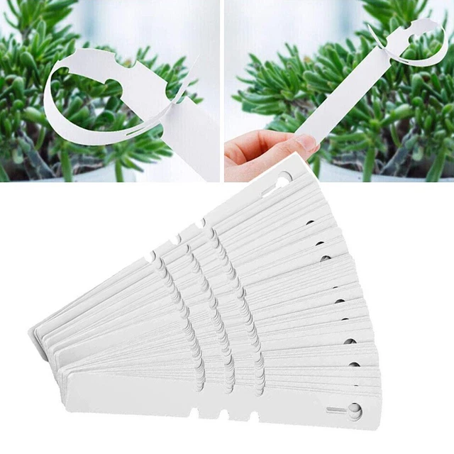 PLANT LABELS PVC Plastic Pots Sign Sorting Vegetable Waterproof Flower ...