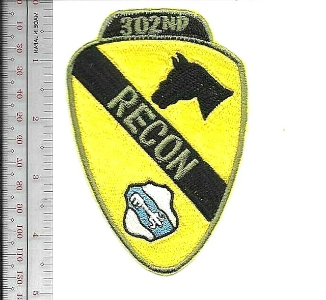 US ARMY VIETNAM 1st Cavalry Division 302nd Recon Battalion Unit Patch ...