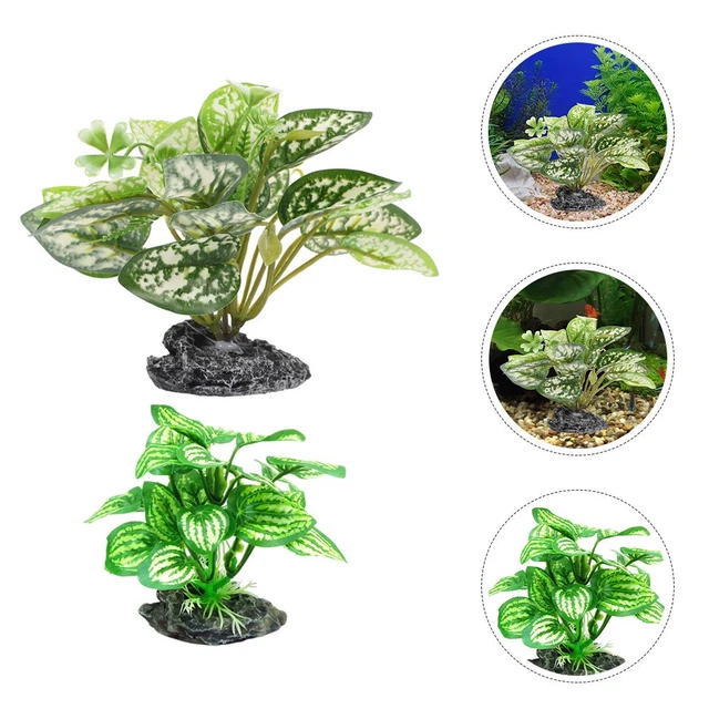 2 PCS AQUARIUM Decor Ornaments Landscaping Betta Fish Tank Accessory ...