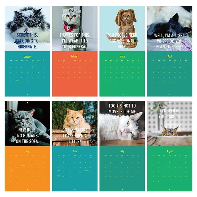 ANGRY CAT CALENDAR 2026 Calendar UK, Funny 2026 UK Grumpy Cat Wall £8. ...