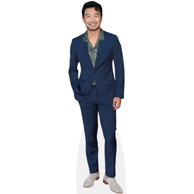 SIMU LIU (BLUE Jacket) Silhouette en carton Taille Mini EUR 25,18 ...