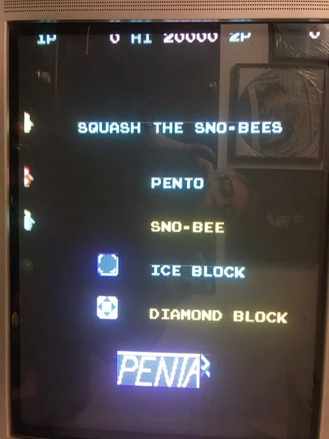 PENGO + ADATTATORE Jamma Bootleg ! jamma pcb EUR 30,00 - PicClick FR