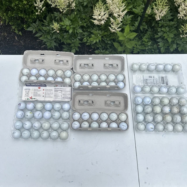 TITLEIST PRO V1 Pro VIX mixed assorted balls all are the same golf 6 ...