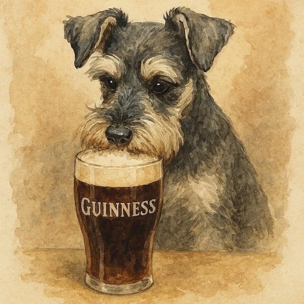 GUINNESS BEER VINTAGE Poster Print 12x8in Metal Sign Pint Irish Lager ...