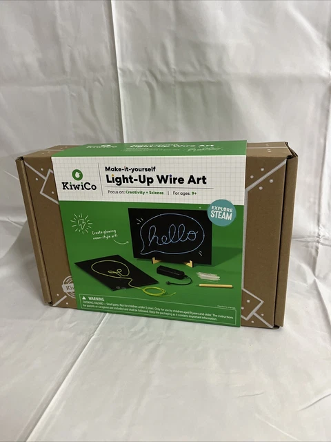 LIGHT-UP WIRE ART Kit - DIY Electroluminescent Signs, Fun Educational ...