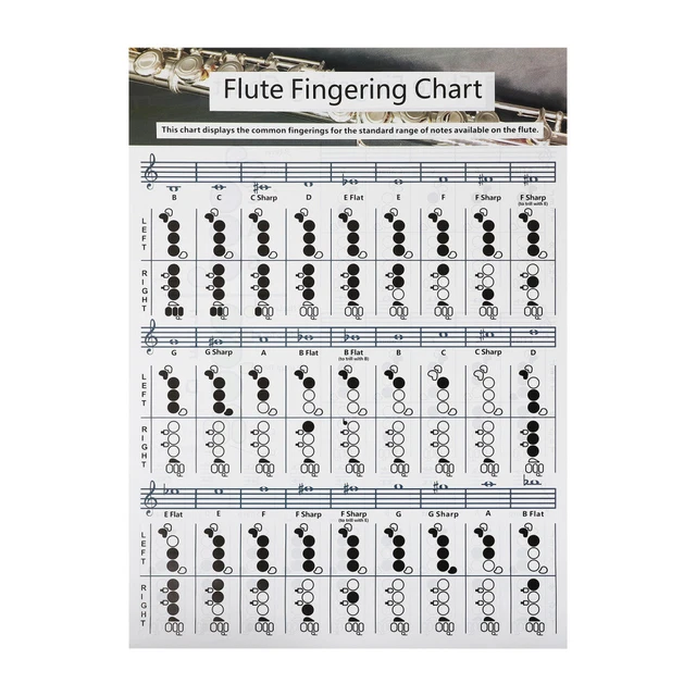 USEFUL FLUTE NOTE Chart Guitar Chart Flute Learning Guide £13.99 ...