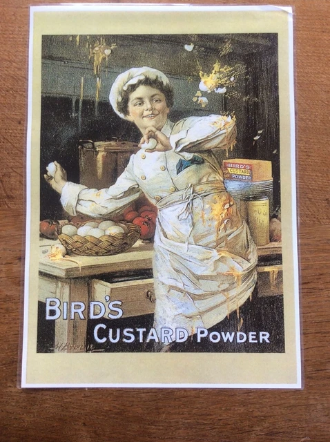VINTAGE LAMINATED ADVERTISEMENT Poster Birds Custard Powder 42x30cms ...