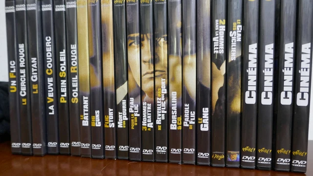 22 DVD COLLECTION Alain Delon PATHE et STUDIO CANAL EUR 69,99 - PicClick FR