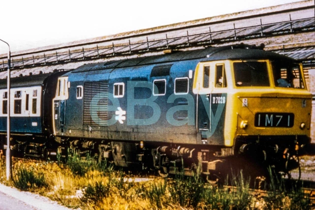 UK RAILWAY PHOTOGRAPH Class 35 Hymek Locomotive D7026. RM35-20 £1.70 ...