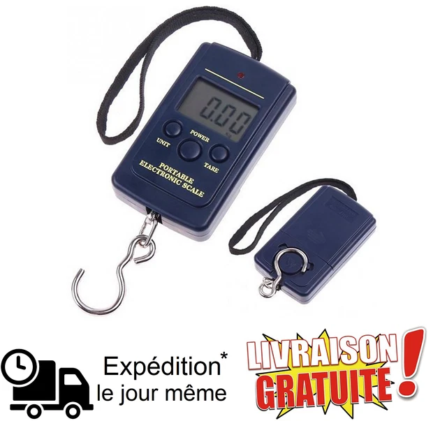BALANCE PESON ELECTRONIQUE Digital Pèse Valise Sac Crochet 10g-40kg EUR ...