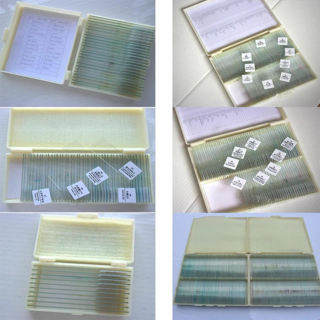 PREPARED MICROSCOPE SLIDES Specimen Glass Set with Plastic Storage Box ...