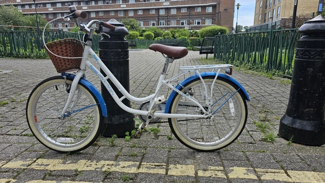 PAZZAZ PETAL 20 inch Wheel Size Kids Heritage Bike Girls £70.00 ...