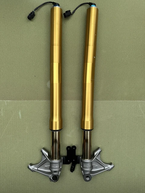 TRIUMPH SPEED TRIPLE 1200 RR Ohlins Front Suspension / Ohlins Forks ...