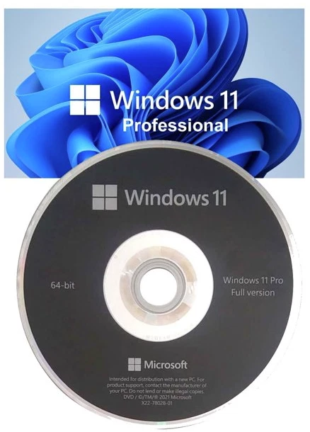 MICROSOFT WINDOWS 11 PRO Professional OEM System Builder with HHD EUR ...