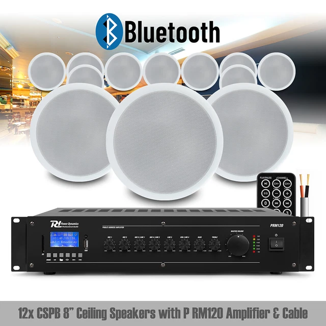 CEILING SPEAKER SOUND System Installation 100V Line Restaurant Shop Pub ...