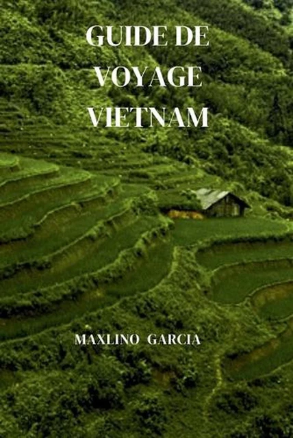 Guide De Voyage Vietnam Une Exploration Approfondie De La Riche Diversit Du Vi Eur 27 19