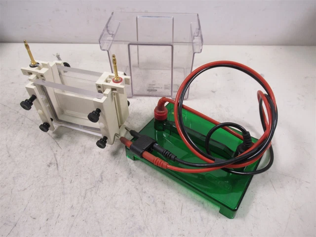 BIO-RAD MINI-PROTEAN II Gel Electrophoresis Lab System Cell EUR 226,55 ...