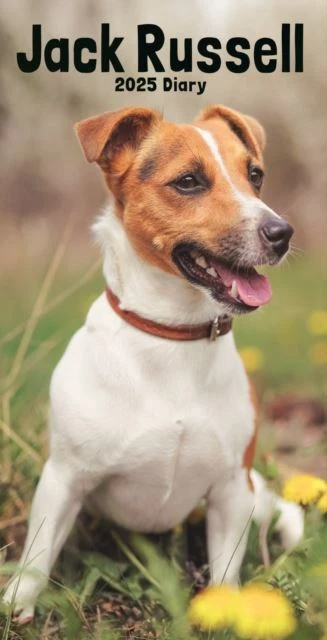 JACK RUSSELL TERRIERS Slim Diary 2025 £6.25 - PicClick UK