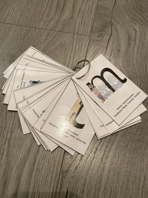READ WRITE INC Flashcards Laminated Early Years Learning Resources ...