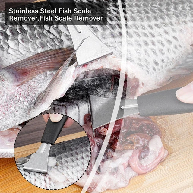 STAINLESS STEEL FISH Scale Scraper Fish Scale Remover Tool for Home ...
