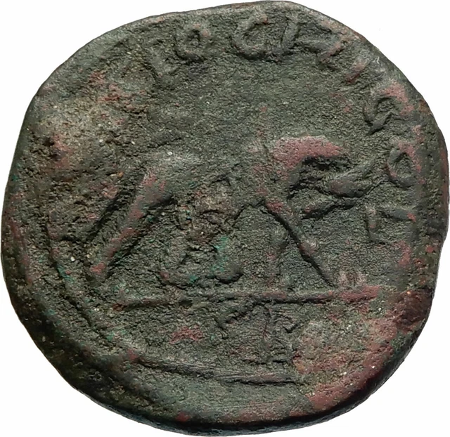 GALLIENUS AUTHENTIC ANCIENT 253AD Antioch Pisidia Roman Coin WOLF TWINS ...