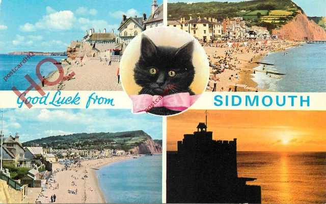 PICTURE POSTCARD~ GOOD Luck from Sidmouth, Black Cat (Multiview ...