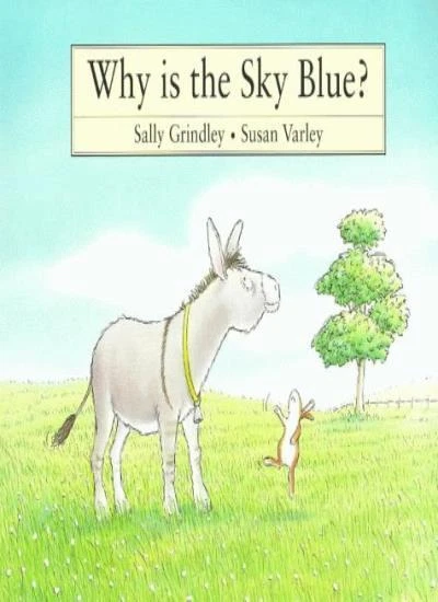 WHY IS THE Sky Blue?-Sally Grindley, Susan Varley £8.30 - PicClick UK