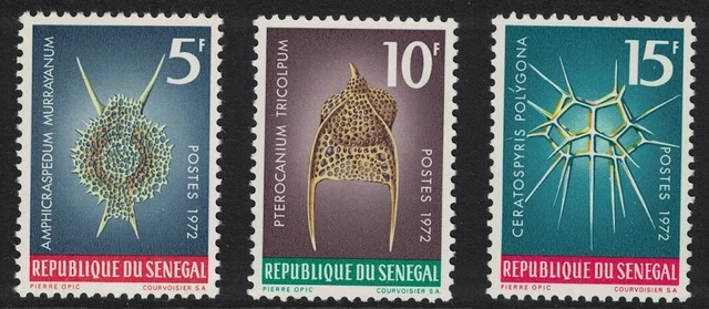 [GK] SENEGAL PROTOZOANS and Marine Life 3v 1972 MNH SG#507-509 MI#505 ...