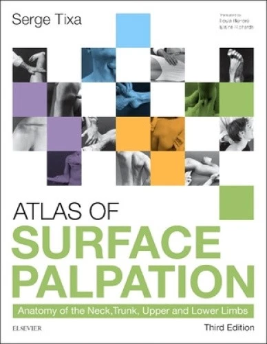 ATLAS OF SURFACE Palpation: Anatomy of the Neck, Trunk, Upper and Lower ...