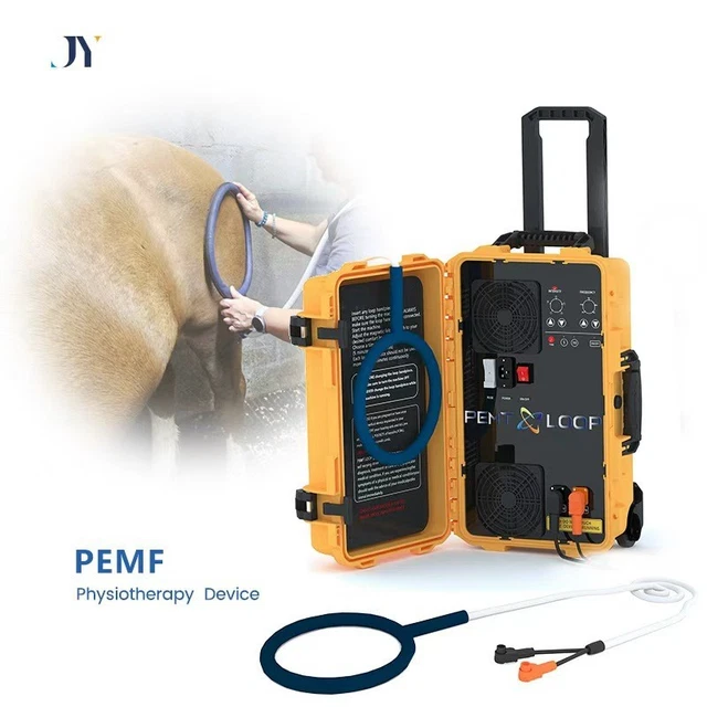 PEMF THERAPY MACHINE Pmst loop Pulsed Electromagnetic Field Mat Home ...