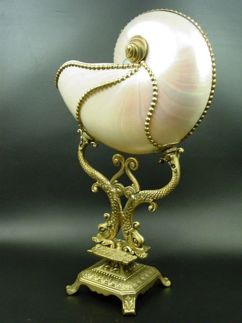 CABINET DE CURIOSITÉS coquillage nautile hanap pied bronze XIXéme EUR ...