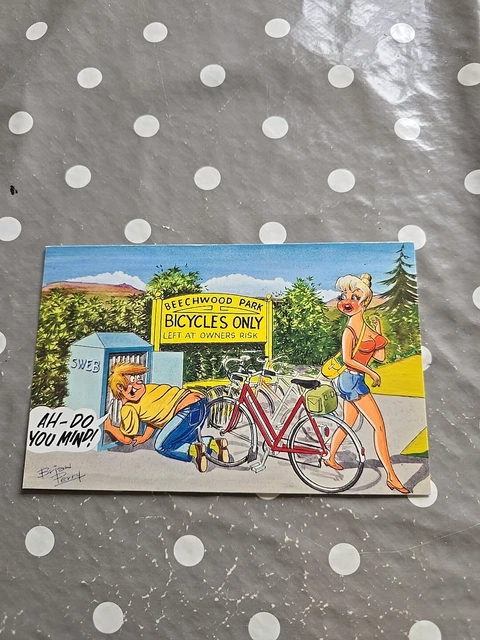 VINTAGE SAUCY SEASIDE Comic Postcard Bamforth Black Triangle No 2041 ...