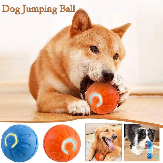 AUTOMATIC JUMPING BALL Pet Dog Interactive Training Ball ToDE Toy Y6O4 ...