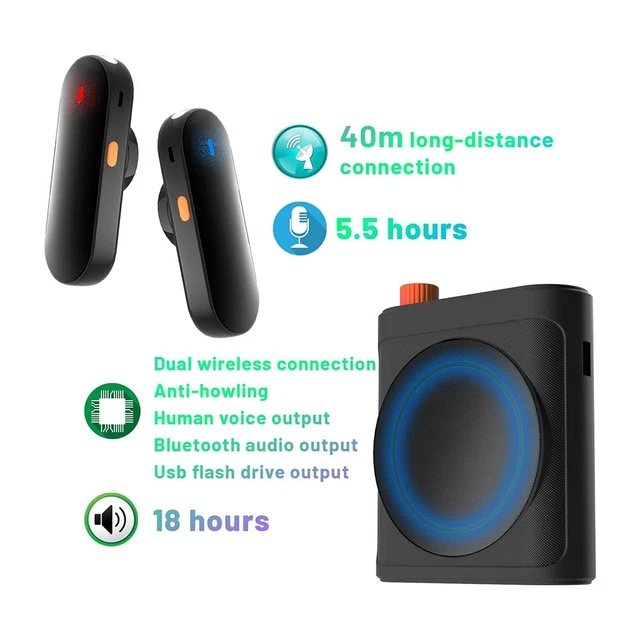 PORTABLE VOICE AMPLIFIER with 2 Microphones for Teachers & Elderly7653 ...