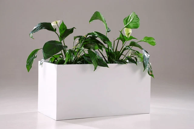 Design Pflanzkbel Innen