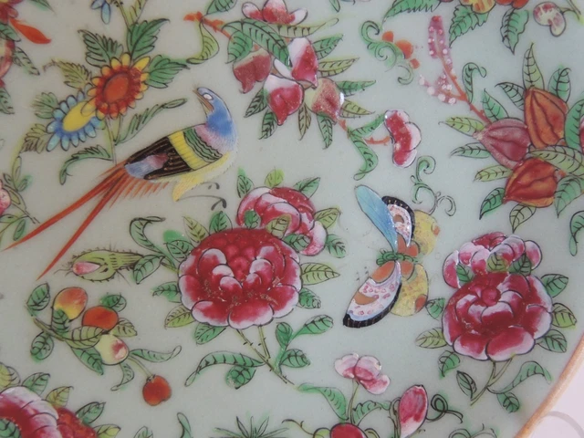 CHINESE EXPORT CELADON Famille Rose Enamel Plate Butterfly Birds Late ...