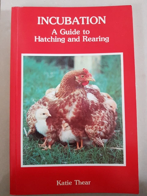 INCUBATION A GUIDE To Hatching And Rearing katie thear hen chicken £2. ...