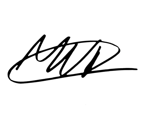 FORMULA 1 MAX Verstappen Signature Decal Sticker Permanent Vinyl W 10cm ...