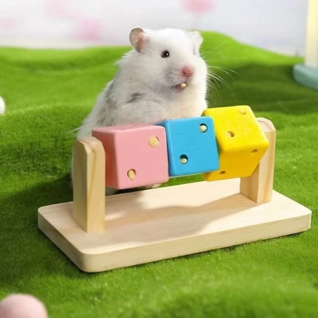 RUBIK'S CUBE-SHAPED HAMSTER Roller Hamsters Training Toys for Small Pet ...