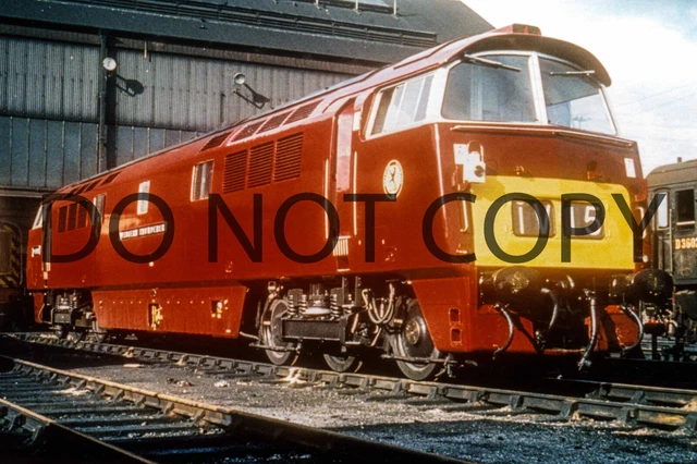 UK DIESEL TRAIN Railway Photograph Of Class 52 Western D1011. Rm52-39 £ ...