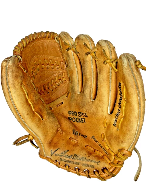 TED WILLIAMS HOF66 Signature Sears Roebuck Baseball Glove Cowhide Sz 11 ...