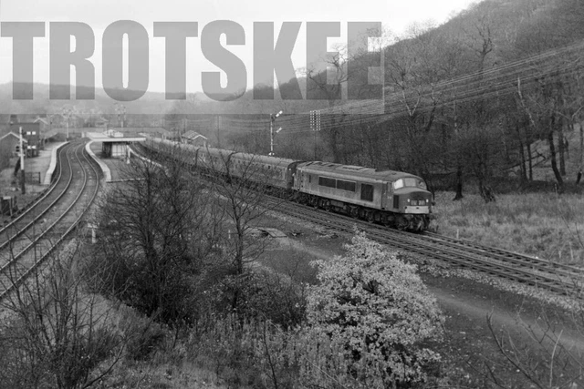 LARGER NEGATIVE BR British Railways Diesel Loco D117 Class 45 Cardiff ...
