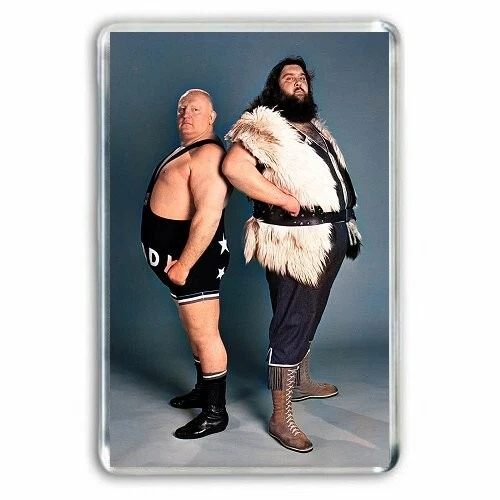 WHO REMEMBERS? WRESTLERS - BIG DADDY & GIANT HAYSTACKS JUMBO FRIDGE ...