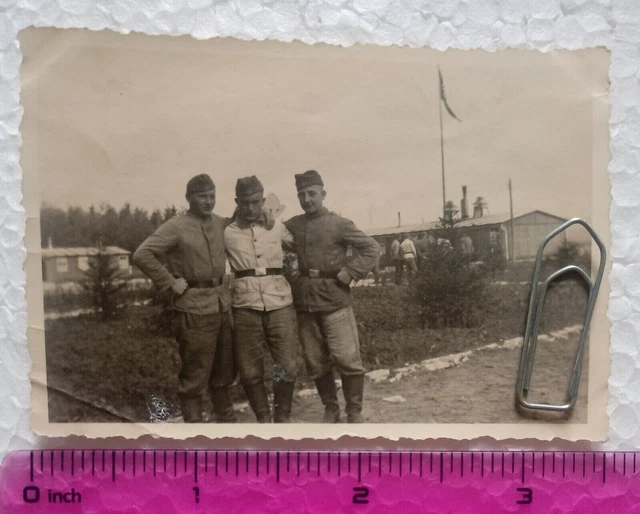 025 WW2 ORIG. Photo German RAD Soldiers Uniforms Belts Flag Text 2.5 x ...